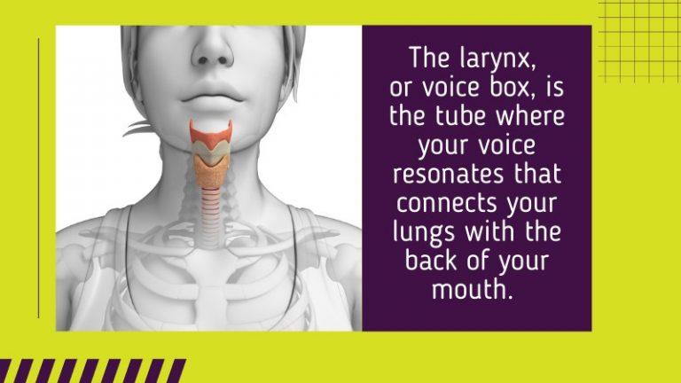 Steps and Exercises for Crossdressers and Transgenders to Achieve a ...