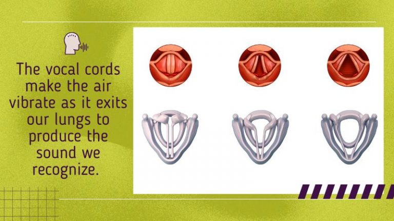 Steps and Exercises for Crossdressers and Transgenders to Achieve a ...