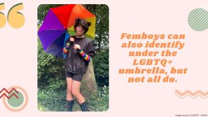 The Femboy Flag: Symbol of Pride and Unity